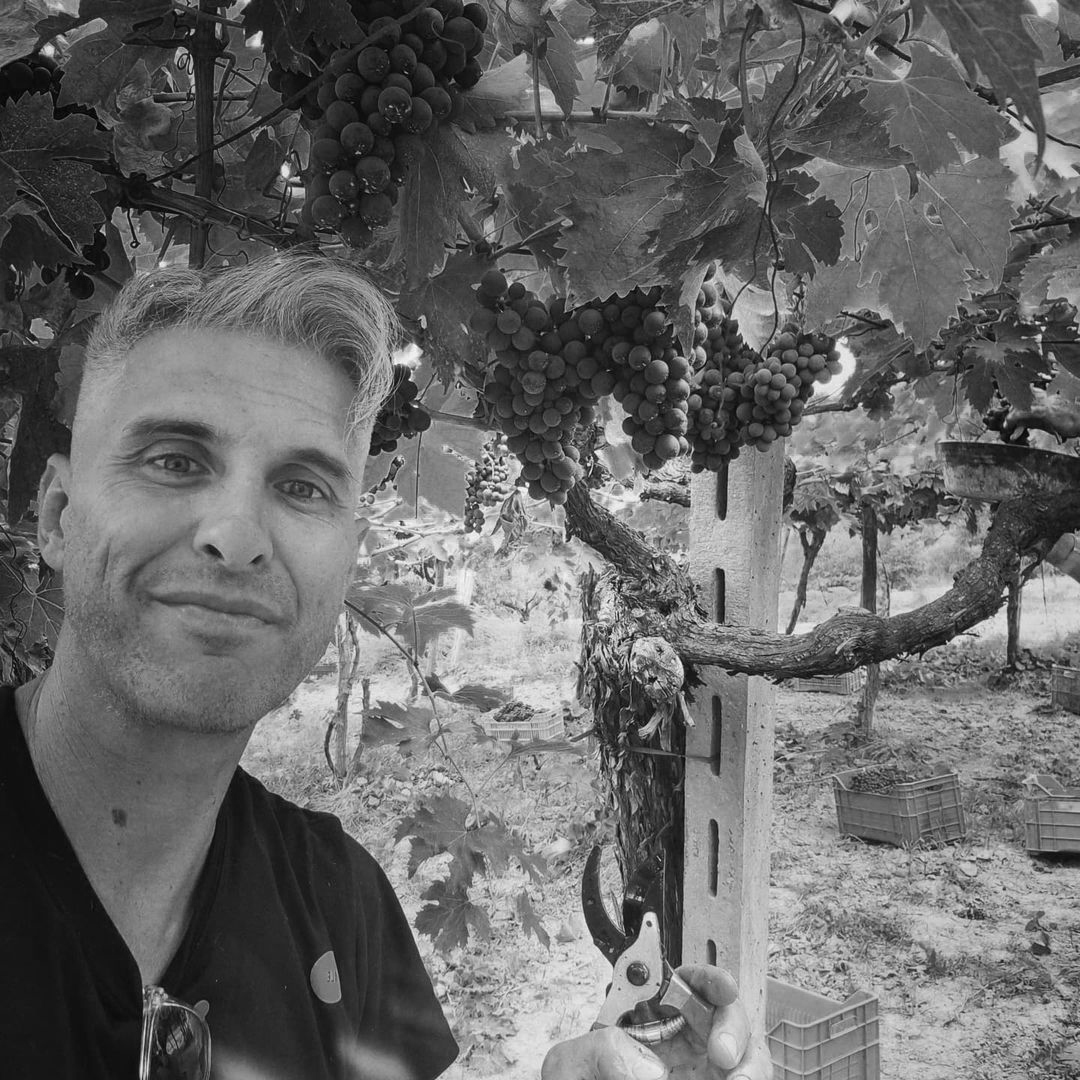 EttoreVini – Sélection et distribution de vins vivants